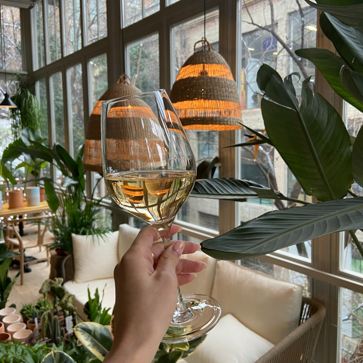 Uncorking the Secrets: How to Talk Wine Like a Pro – Farrah